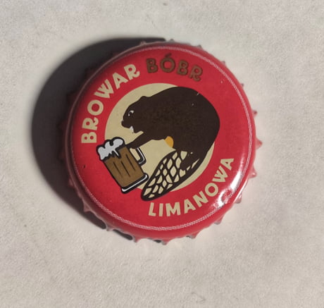 Best Funny bobr kurwa Memes - 9GAG