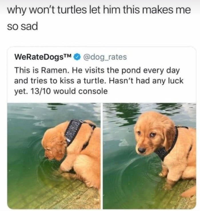 Bro is sad already. - 9GAG