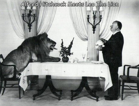 Best Funny alfred Memes - 9GAG