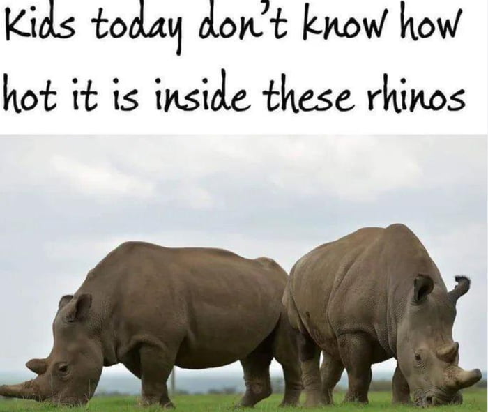 When Nature Calls… - 9GAG