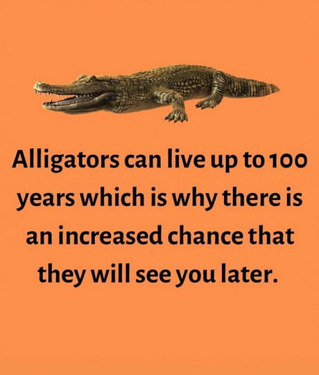 Best Funny cya later Memes - 9GAG