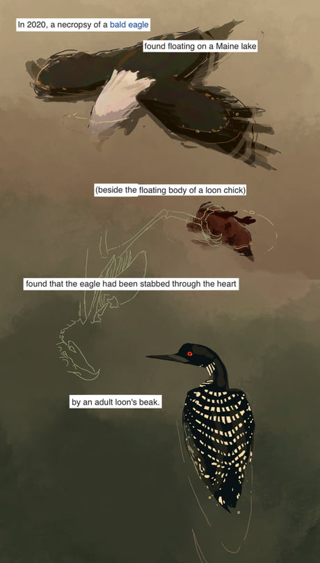 Best Funny fafo Memes - 9GAG