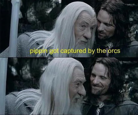 Best Funny pippin Memes - 9GAG