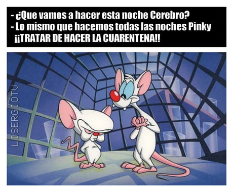 Memes De Cerebros Cerebro N´t Meme By Jj72000 :) Memedroid