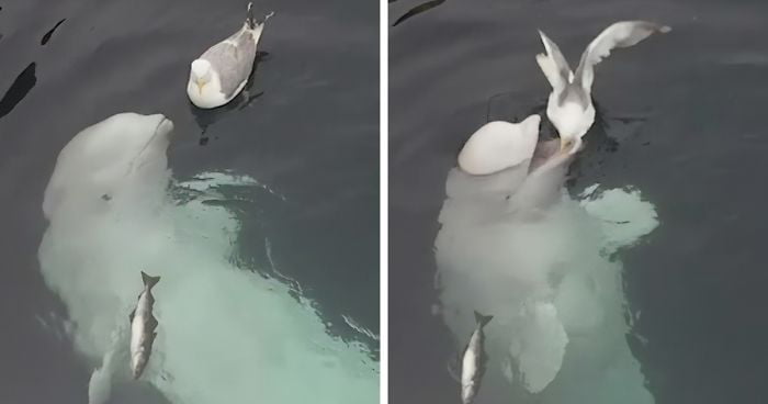 This Simple Math Equation Left Many Baffled - 9GAG