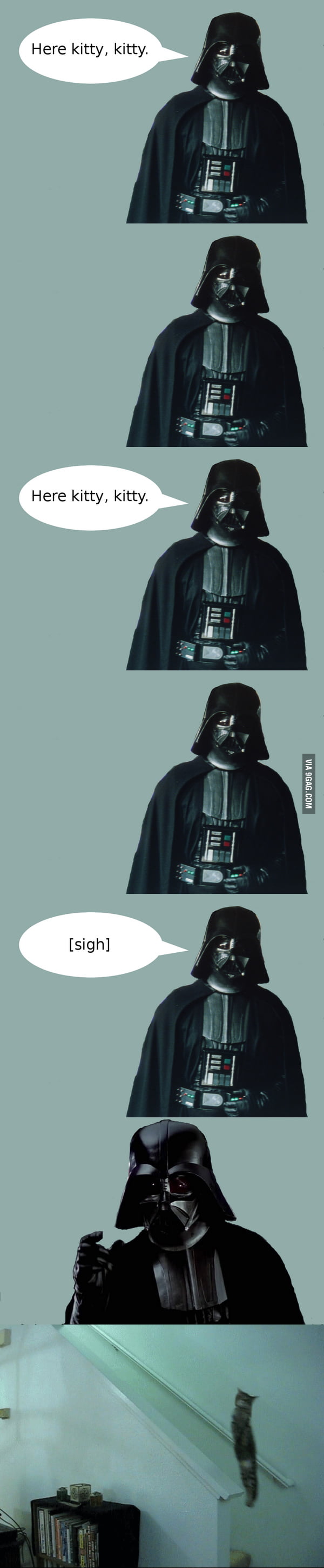 Here kitty... - 9GAG