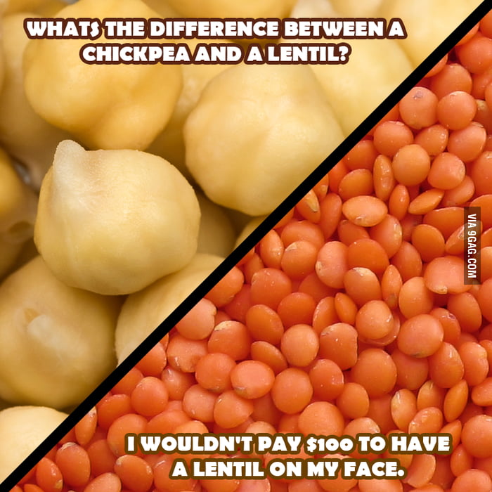 Whats the difference between a Chickpea and a Lentil? - 9GAG