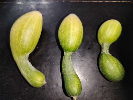 Best Funny cucumber Memes - 9GAG