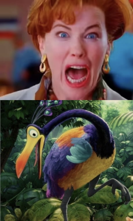 Best Funny kevin Memes - 9GAG