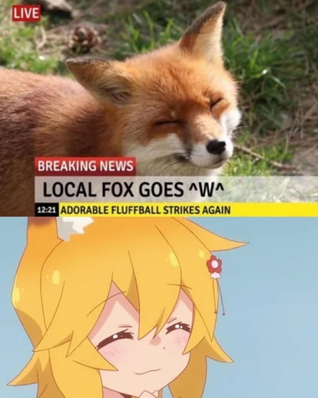 Best Funny senko san Memes - 9GAG