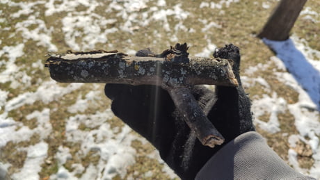 Best Funny wood Memes - 9GAG