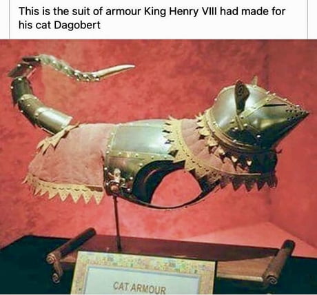 Best Funny king Memes - 9GAG