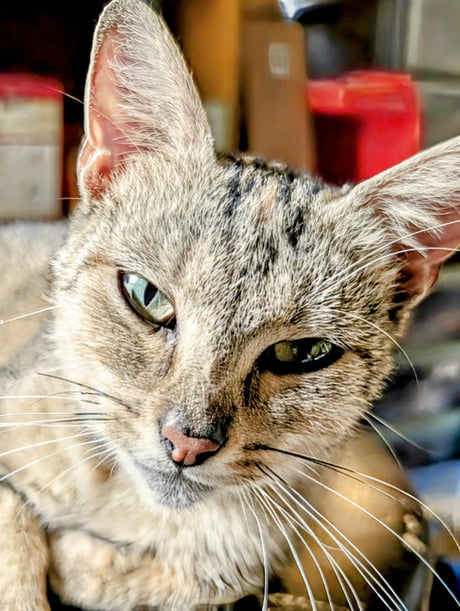 Best Funny squint Memes - 9GAG