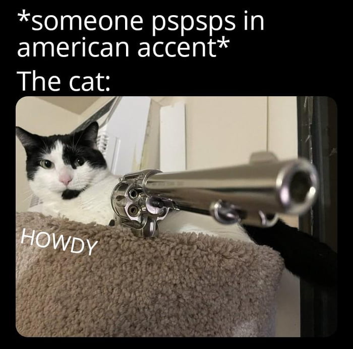 When the food bowl is empty (you haven't shaken the bowl) - 9GAG