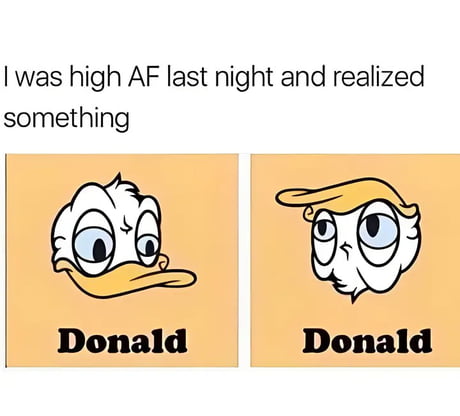 Best Funny donald duck Memes - 9GAG