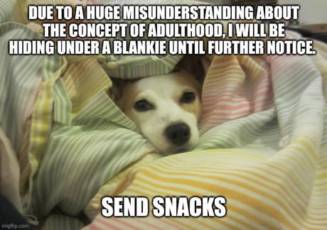 Best Funny hide Memes - 9GAG