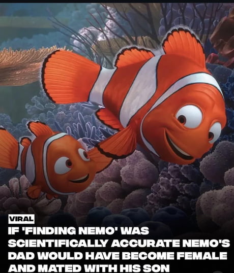 Best Funny nemo Memes - 9GAG