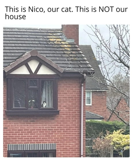 Best Funny squatter Memes - 9GAG