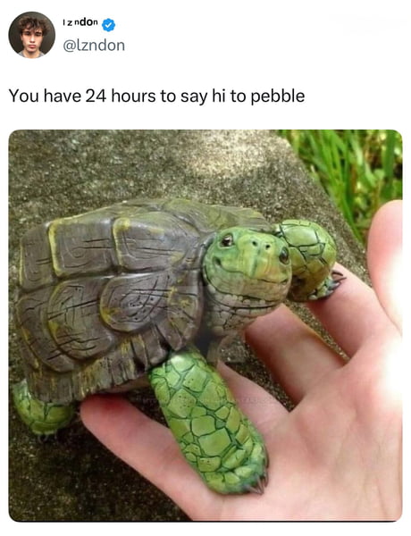 Best Funny pebble Memes - 9GAG