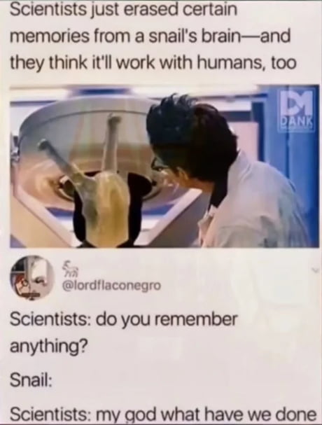 Best Funny snail Memes - 9GAG