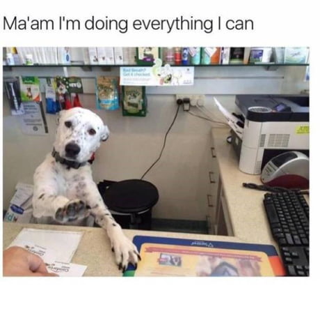 Best Funny tech support Memes - 9GAG