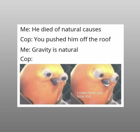 Best Funny cop Memes - 9GAG