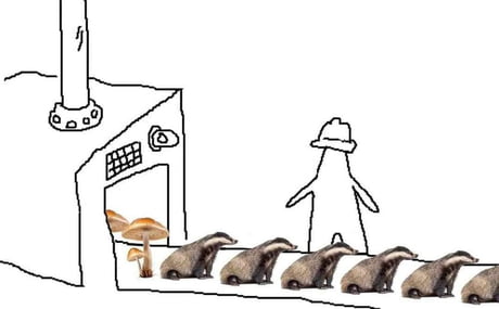 Best Funny badger Memes - 9GAG