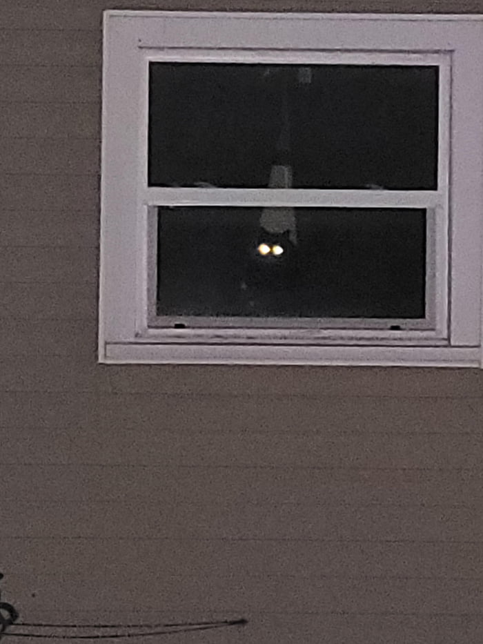 Void Eye, Window Wanderer - 9GAG