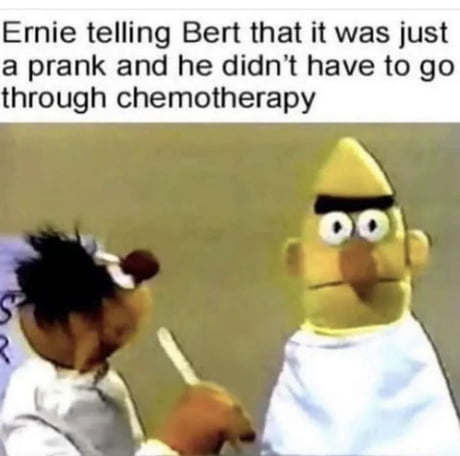 Sesame Street Bert And Ernie Memes Just Bert And Ernie Things In 2021