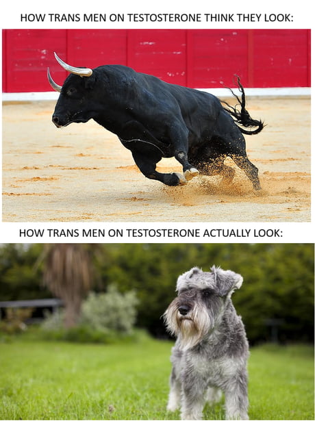 Best Funny trans Memes - 9GAG