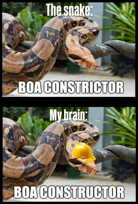 Best Funny danger noodle Memes - 9GAG