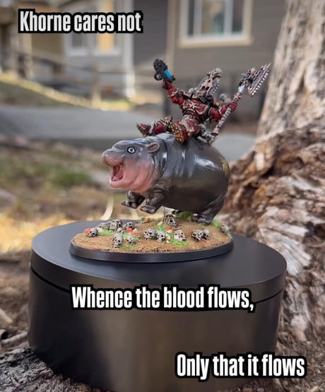 Best Funny moo deng Memes - 9GAG