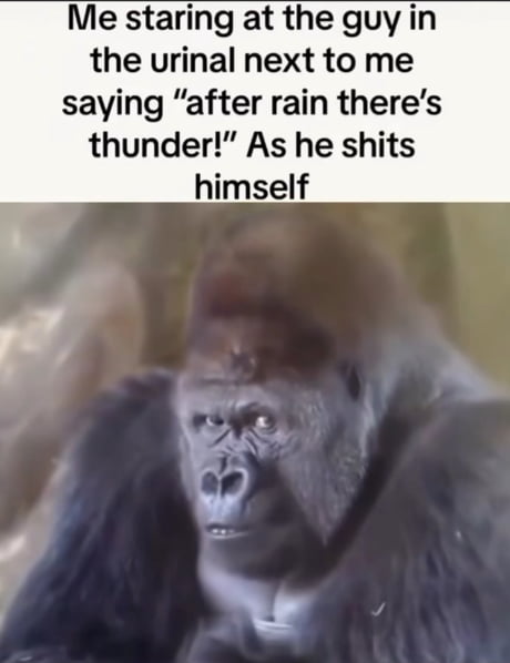 Grumpy Gorilla Meme