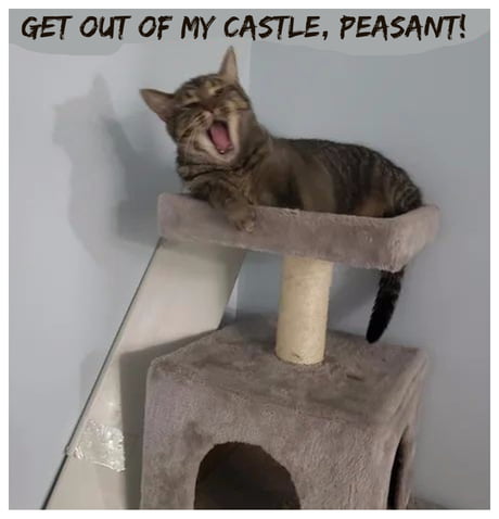 Pyramid Peasant Memes