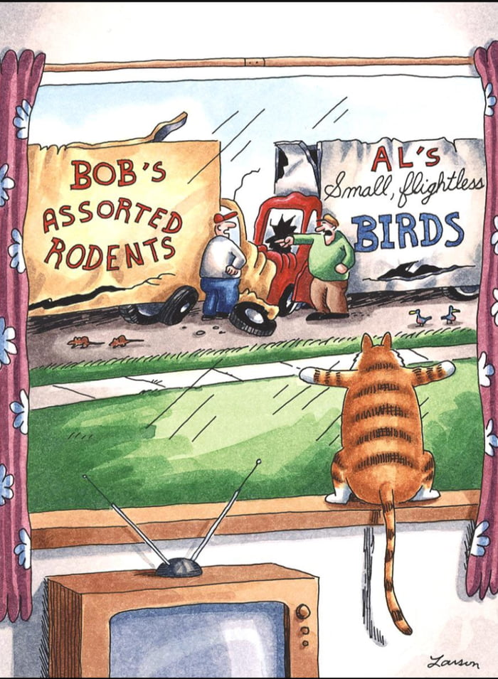 Far Side Friday! - 9GAG