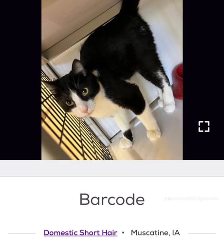 Best Funny barcode Memes - 9GAG
