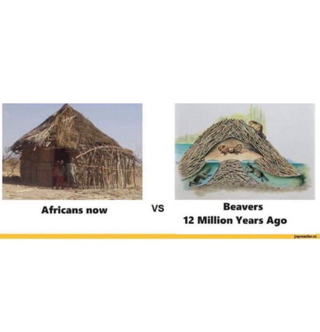 Best Funny africa Memes - 9GAG