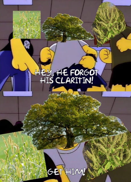 Best Funny claritin Memes - 9GAG