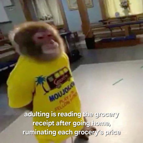 Best Funny monkey Memes - 9GAG