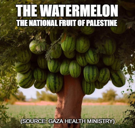 Best Funny watermelon Memes - 9GAG