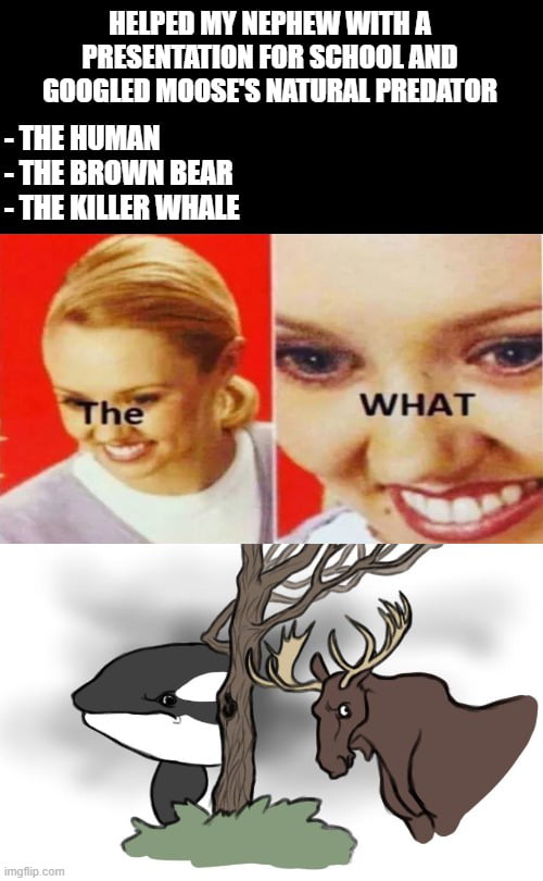 Nature is scary - 9GAG