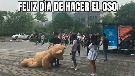 Osito De Los Memes