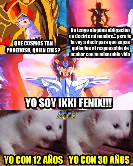 Fenix Ikki Memes
