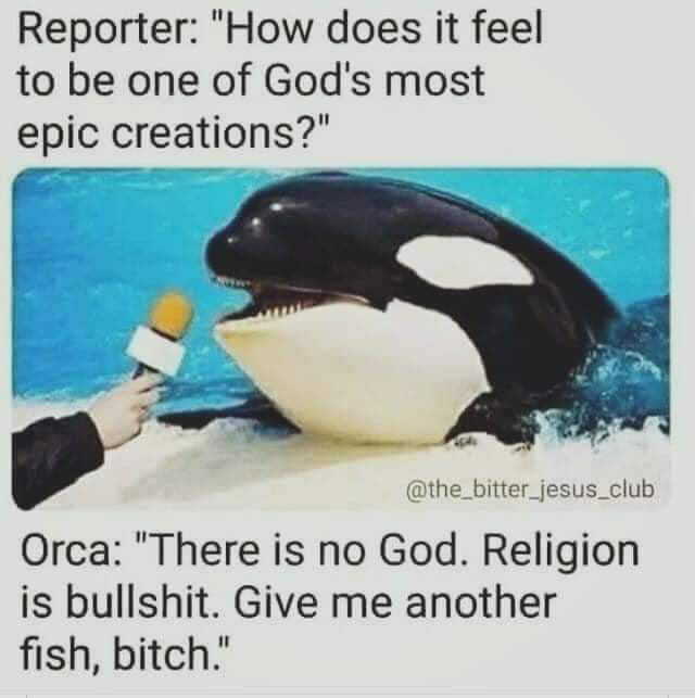 Give me a fish! - 9GAG