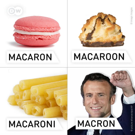 Macaroon Memes 19 Macaron Memes Ideas | Macarons, Macaroons, Macaron