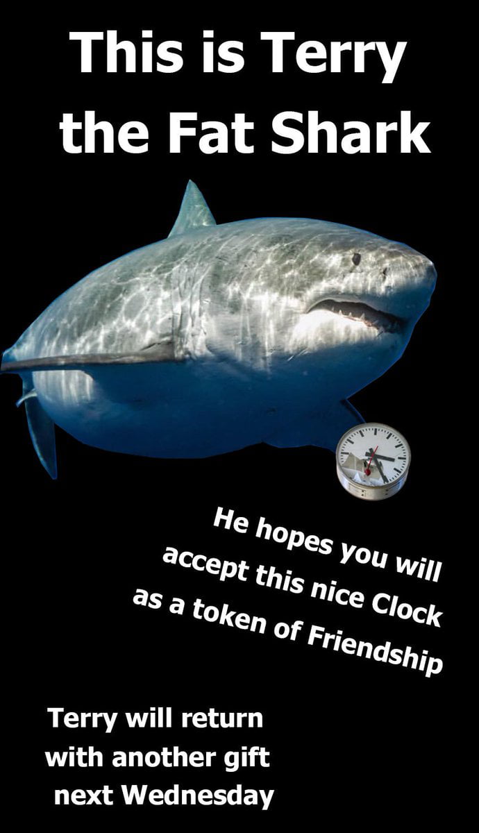 Terry the fat shark - 9GAG