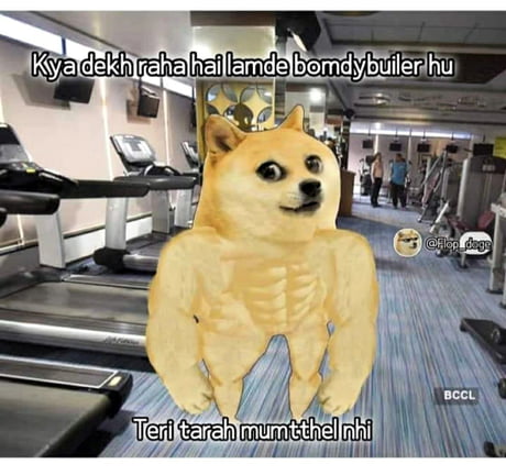 Doge Gym Memes Buff Shiba Inu Lifting Barbell With Bitcoin Plates