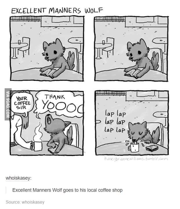 Most polite wolf out there - 9GAG