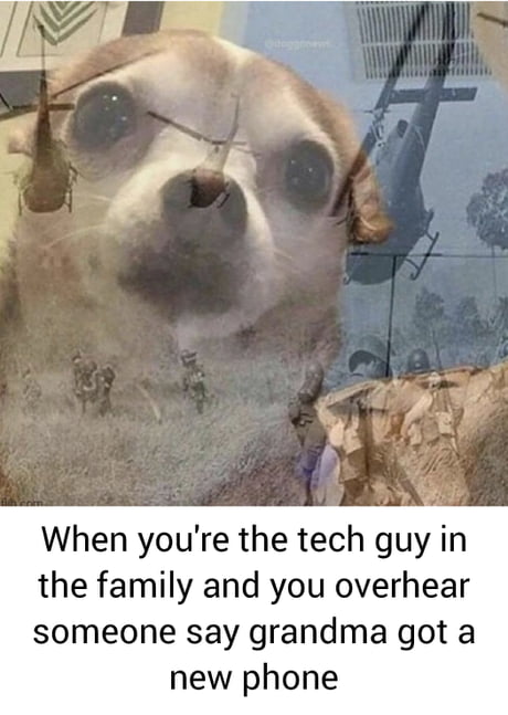 Best Funny ptsd dog Memes - 9GAG