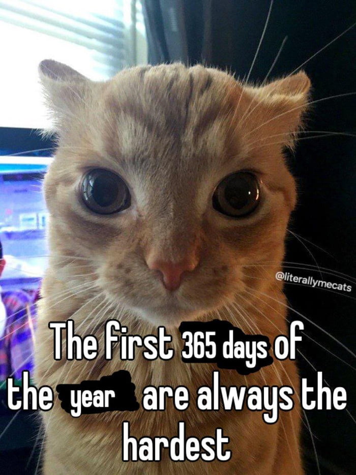 Thank God this year has 366 days, at least one will be good - 9GAG